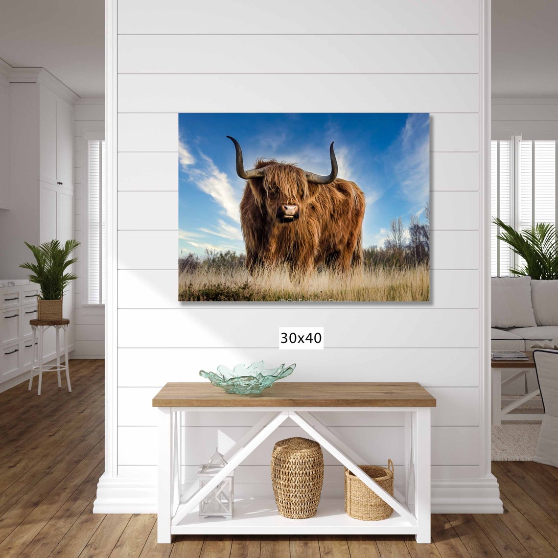 Highland Cow Canvas, Farmhouse Wall Decor, Highland Cow Photo Print ...