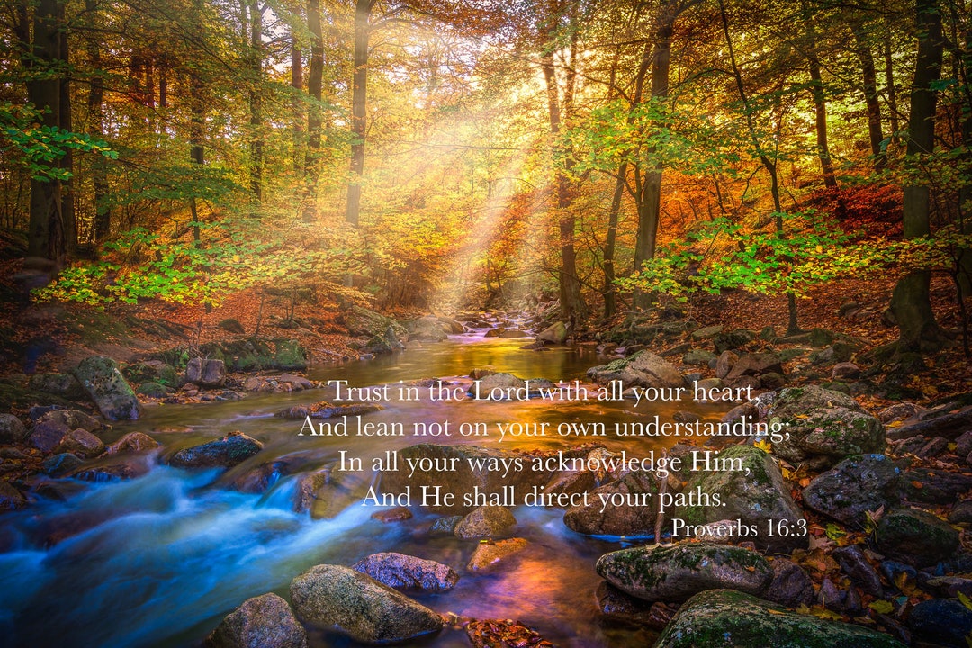 Proverbs 3:5-6, Inspirational Canvas Wall Art Prints, Autumn Forest ...