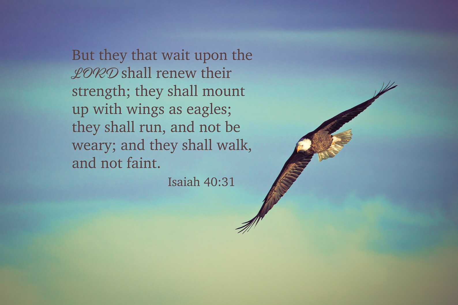 Isaiah 40-31, Mount up With Wings as Eagles, Christian Inspirational ...