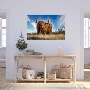 Highland Cow Canvas, Farmhouse Wall Decor, Highland Cow Photo Print, Scottish Cow Photo ...