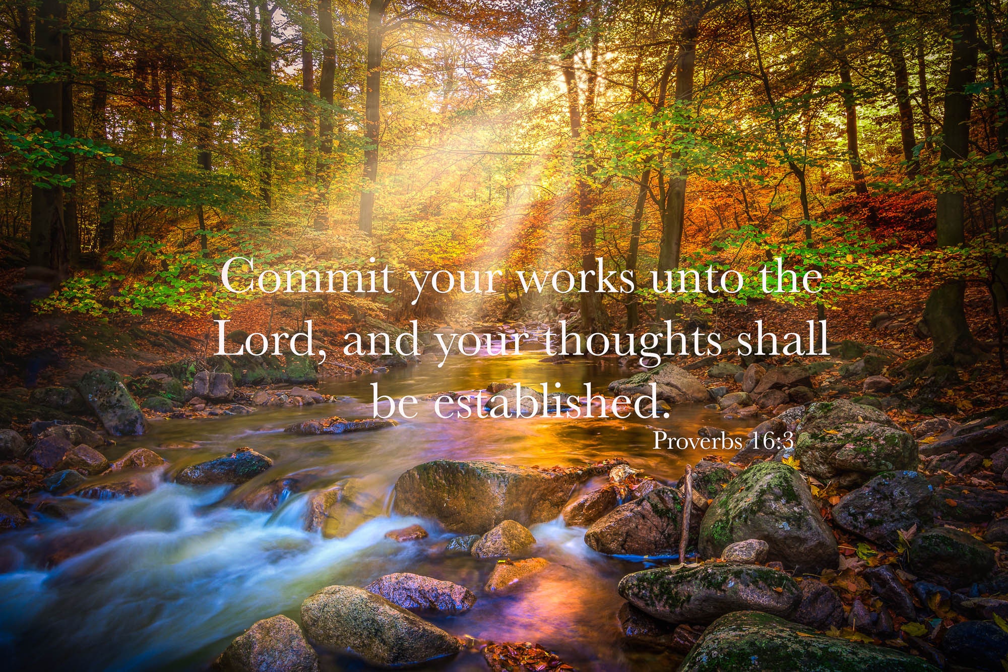 Proverbs 16:3, Inspirational Canvas Wall Art Prints, Autumn Forest ...