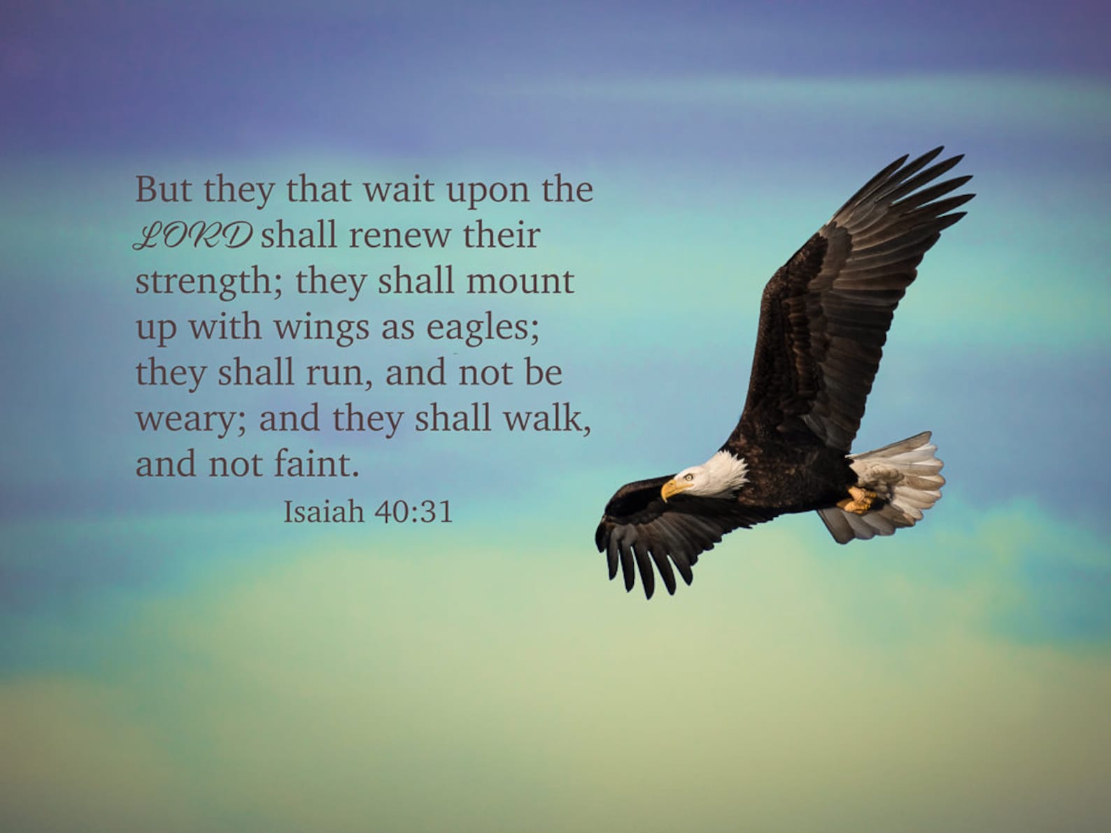 Mount up With Wings as Eagles Wall Canvas, Isaiah 40:31 Christian ...