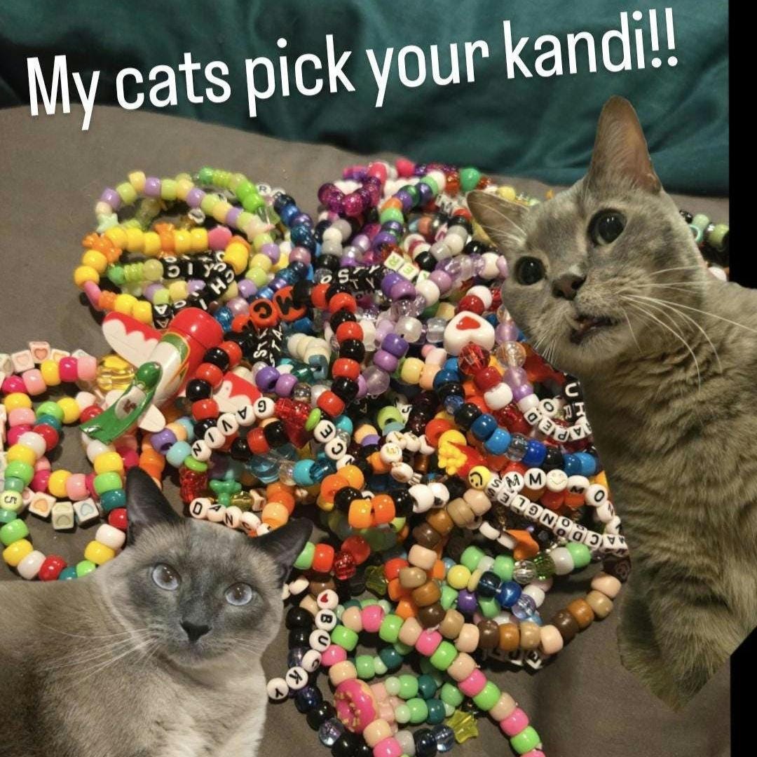 My Cats Pick Your Kandi Bracelets!! - Etsy