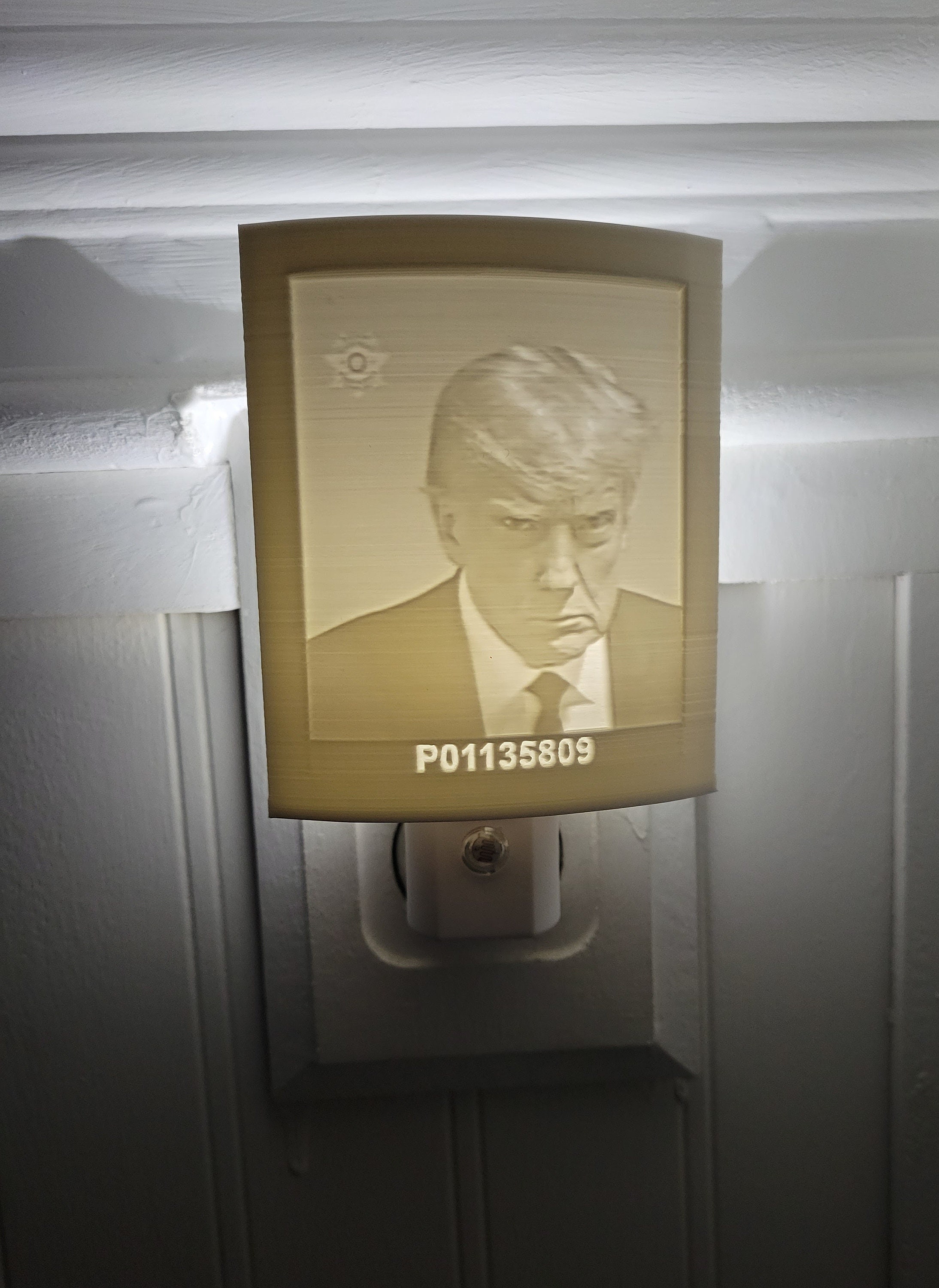 3D Printed Trump Mugshot Photo Night Light With Inmate Number P01135809 ...