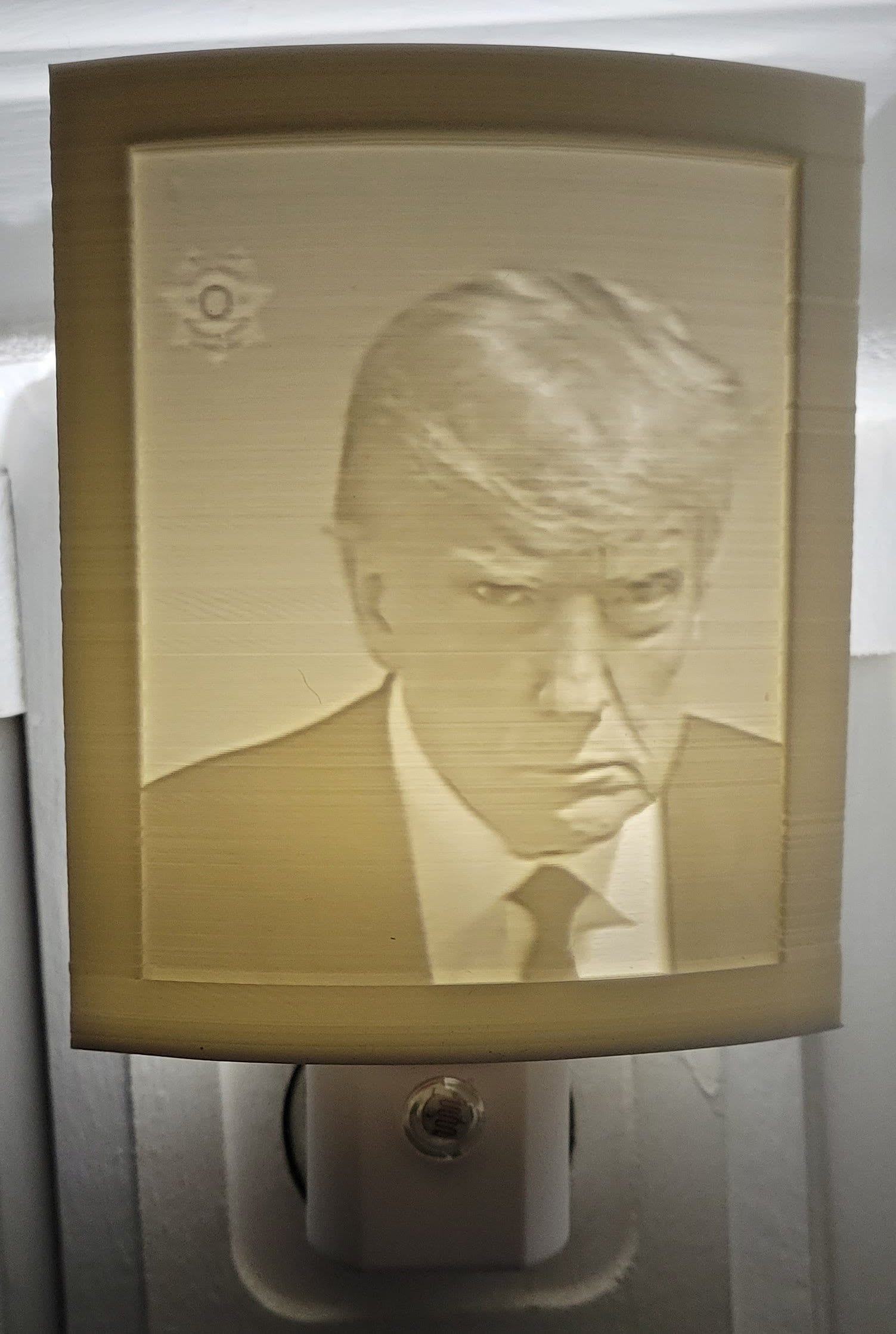 3D Printed Trump Mugshot Photo Night Light With Inmate Number P01135809 ...