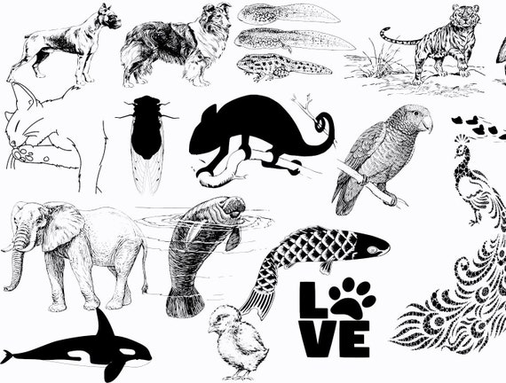 100 Svg Animals Bundle Svg Zoo Animals Svg Cricut Animal - Etsy