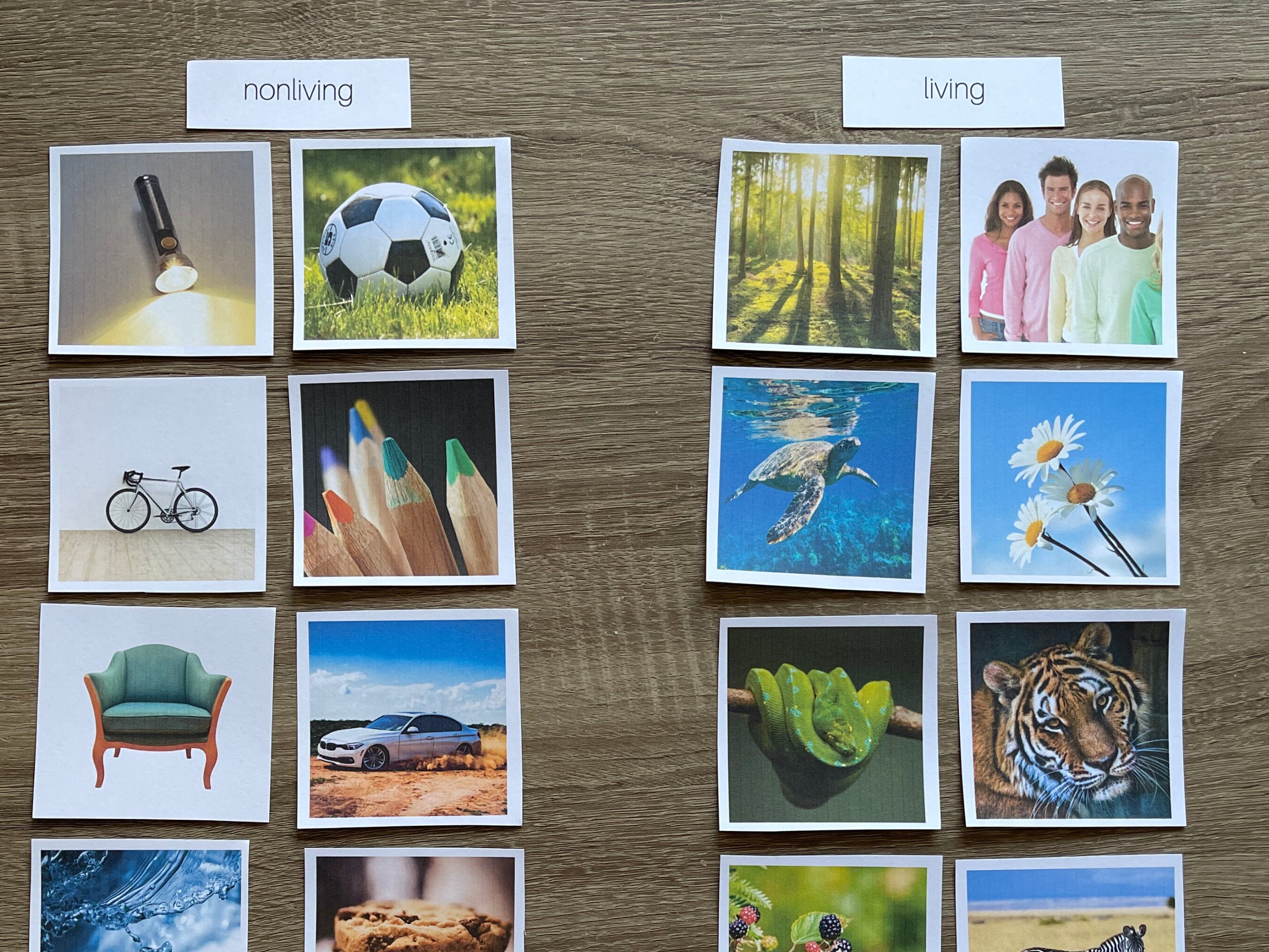 Living & Non Living | Montessori Geography Printable - Etsy