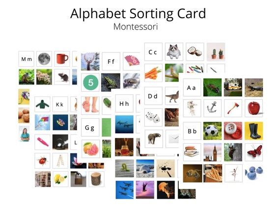 Alphabet Sorting Card Printable Montessori - Etsy Canada