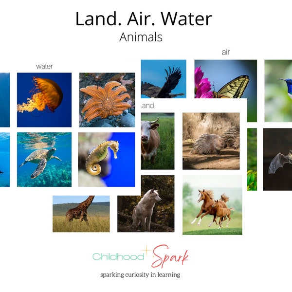 Land Water Air Montessori Cards - Etsy