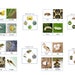 Life Cycle Bundle- Montessori 3 Part Cards - Etsy