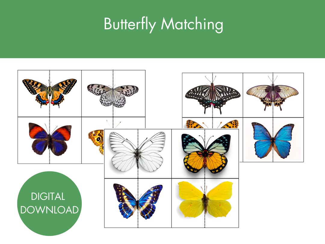 Butterfly Matching Game - Etsy