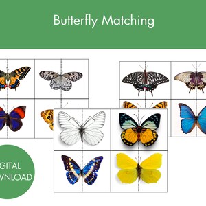 Butterfly Matching Game - Etsy