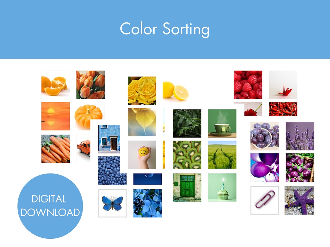 Color Sorting Printable, Montessori, Preschool - Etsy