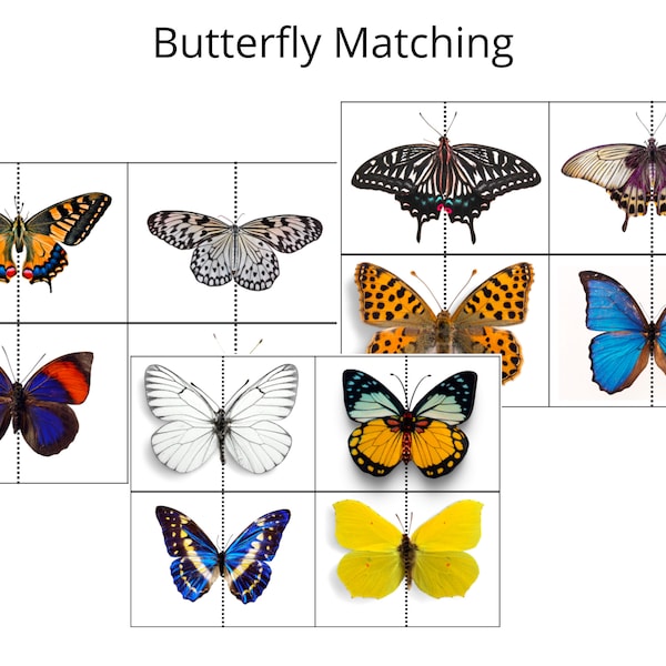Butterfly Matching Game - Etsy