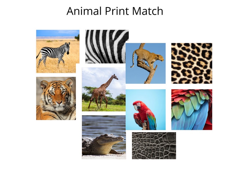 Animal Print Matching - Etsy
