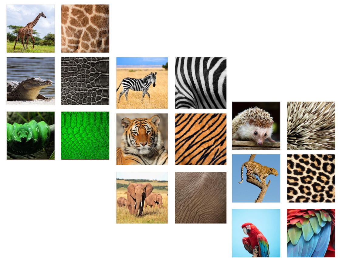 Animal Print Matching - Etsy