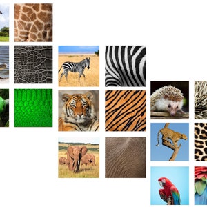 Animal Print Matching - Etsy