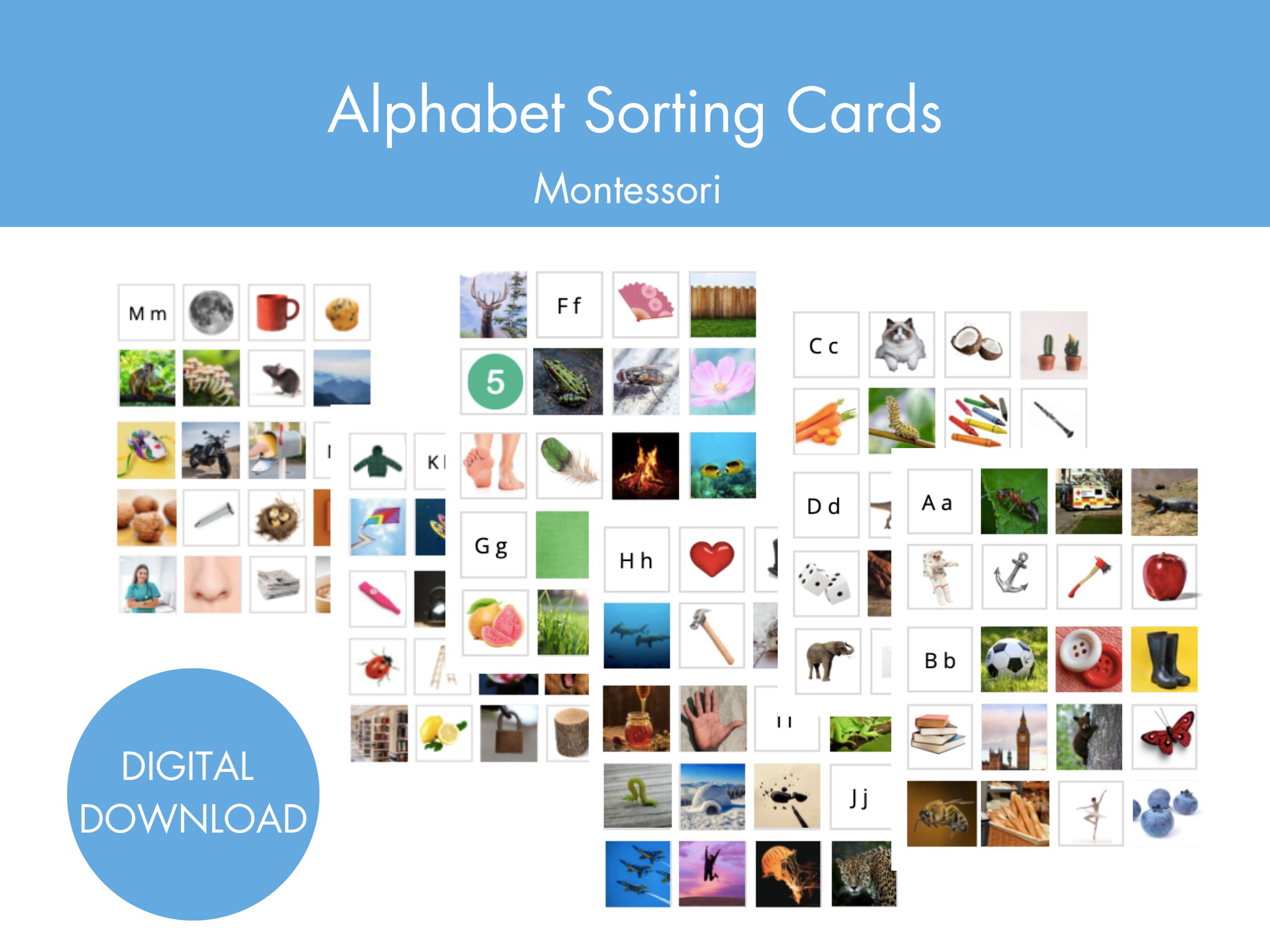 Alphabet Sorting Card Printable | Montessori Language - Etsy