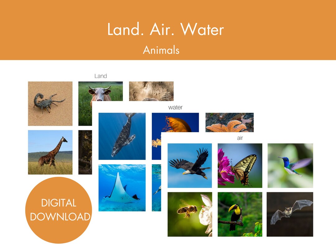 Land. Air. Water Montessori Cards (animals) - Etsy