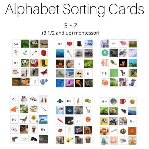 Alphabet Sorting Card Printable Montessori | Etsy