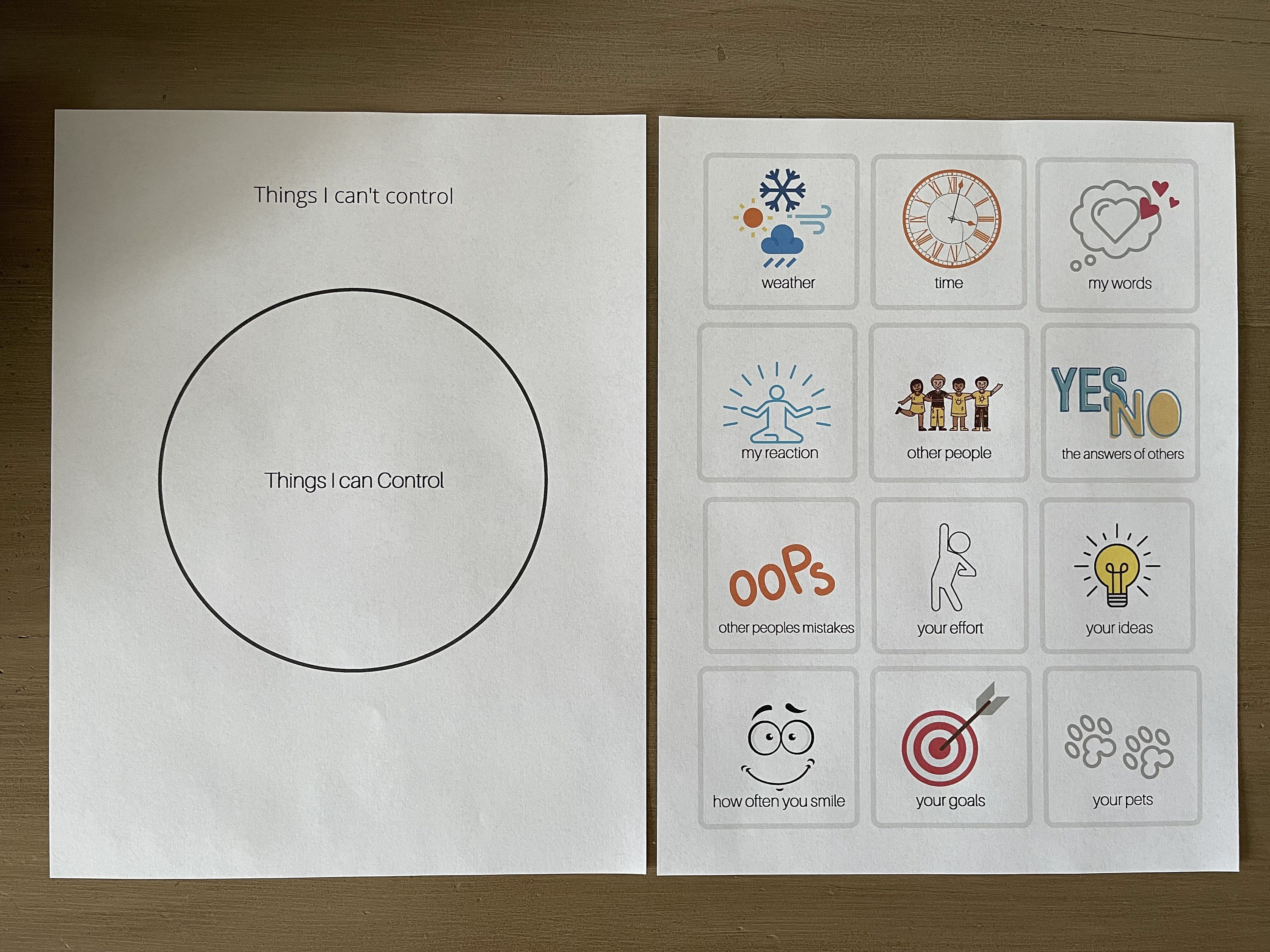 Circle of Control: Social Emotional Learning for Preschool - Etsy