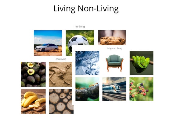 Living Non Living Montessori Geography Printable - Etsy