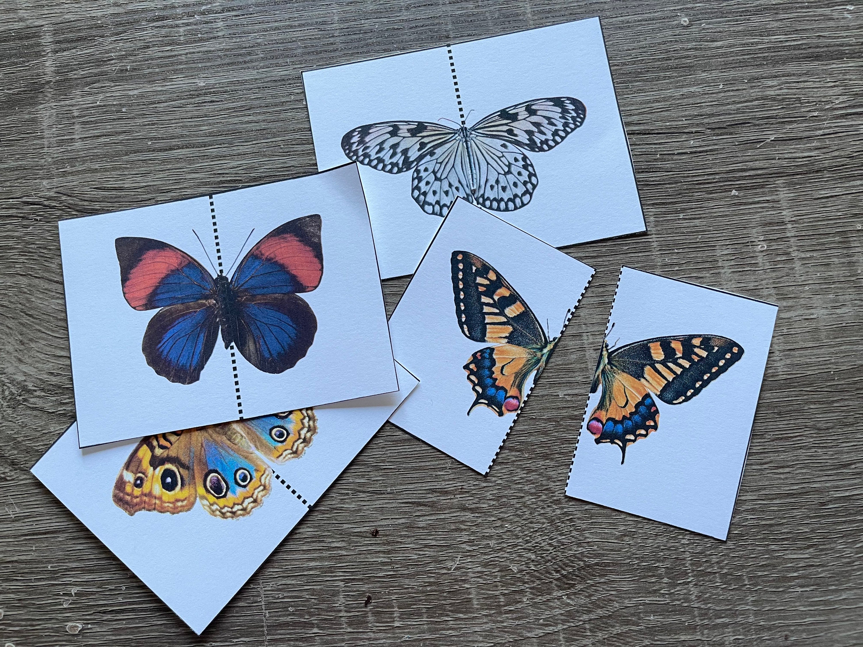 Butterfly Matching Game - Etsy