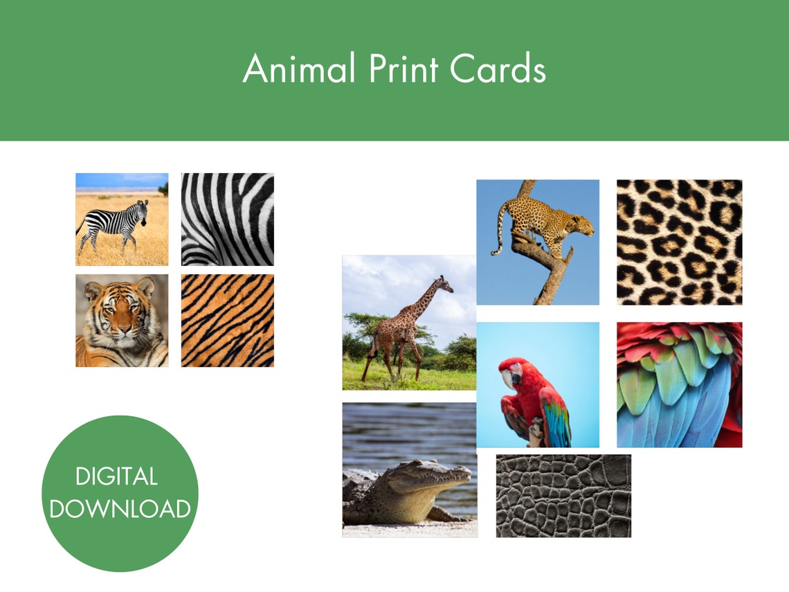 Animal Print Matching - Etsy