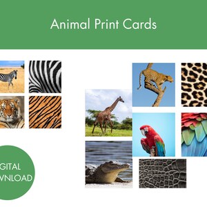 Animal Print Matching - Etsy