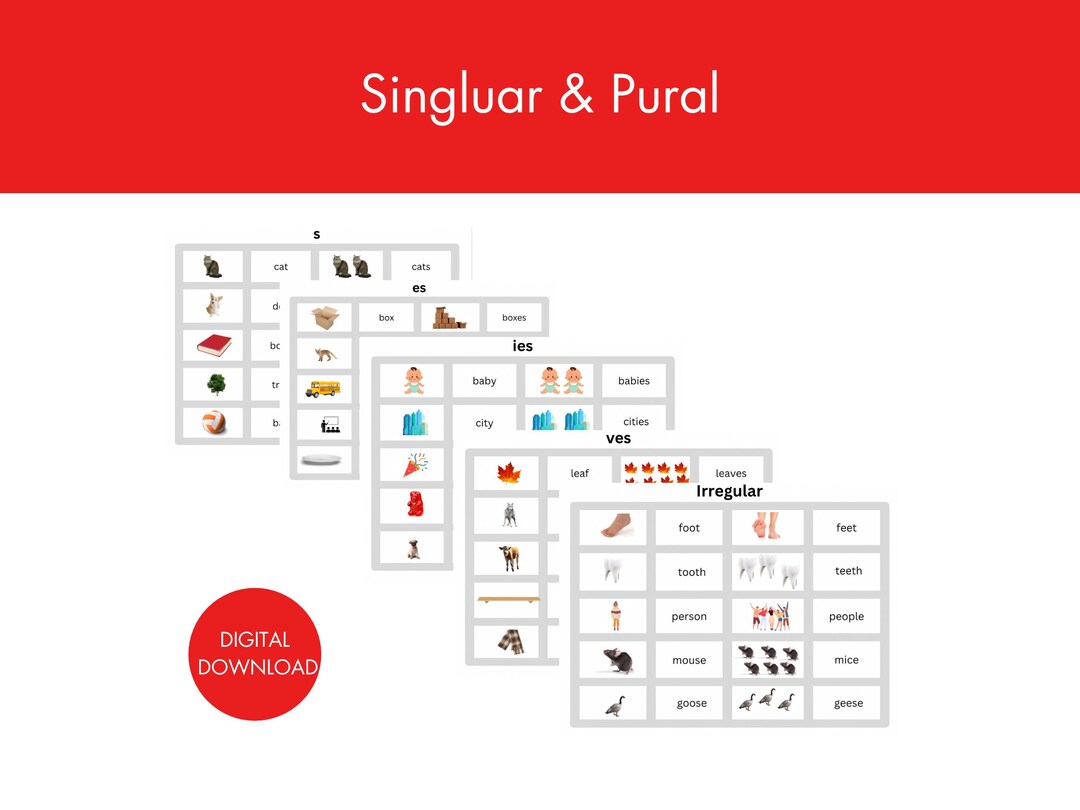 Montessori | Singular and Plural - Etsy
