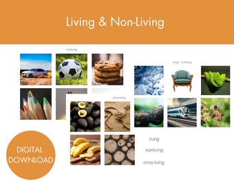 LIVING and Non-living Sorting Cards Montessori Activity Preschool ...