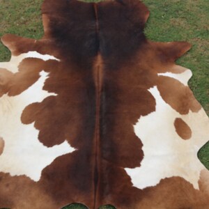 Brown and White Special Cowhide Rugs Animal Print Hides Best Living ...