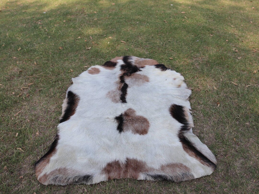 Buy Hair on Goathide Rug, Genuine Goatskin Rug, Goat Skin Pelt Throw ...