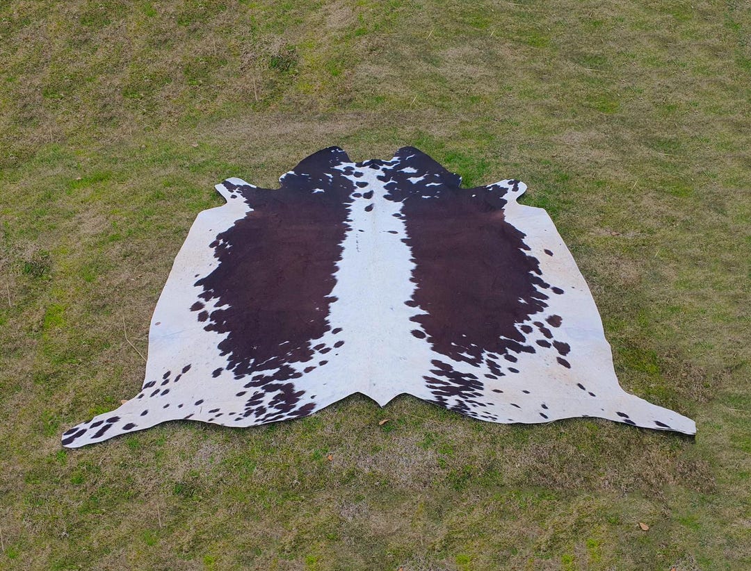 Brown and White Genuine Cowhide Rugs Real Hair-on Cow Skin Rugs for ...
