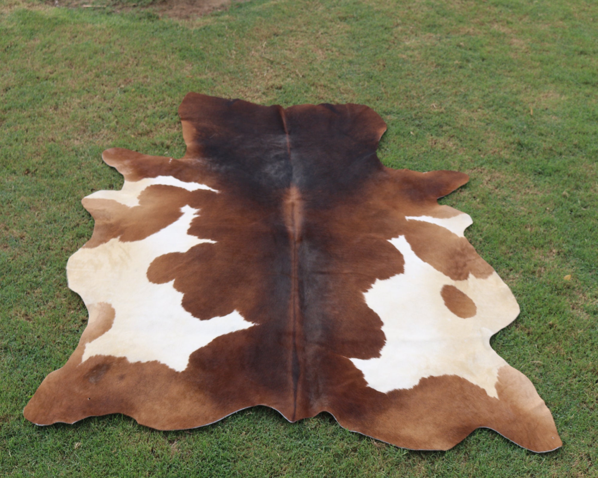 Brown and White Special Cowhide Rugs Animal Print Hides Best - Etsy