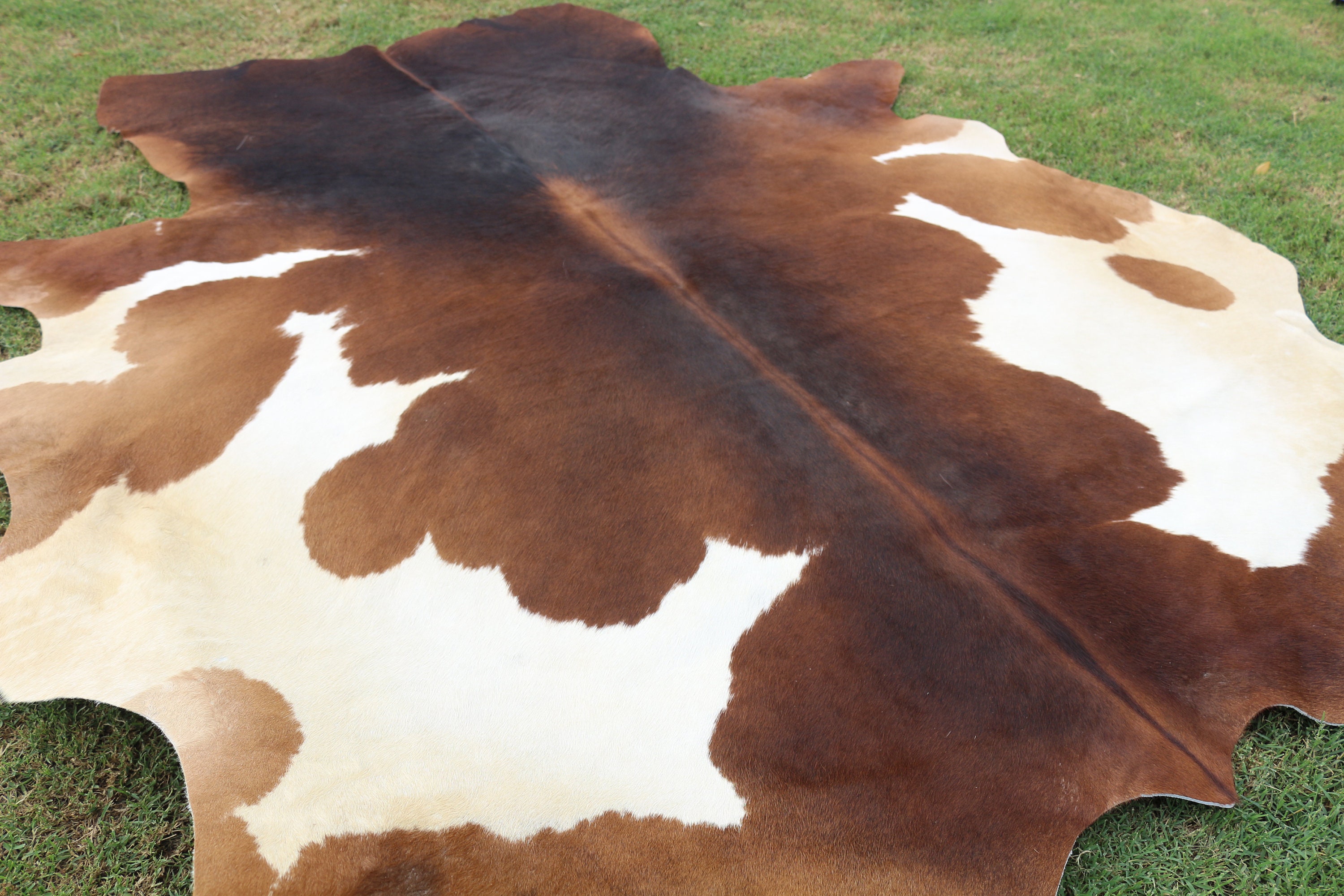 Brown and White Special Cowhide Rugs Animal Print Hides Best - Etsy