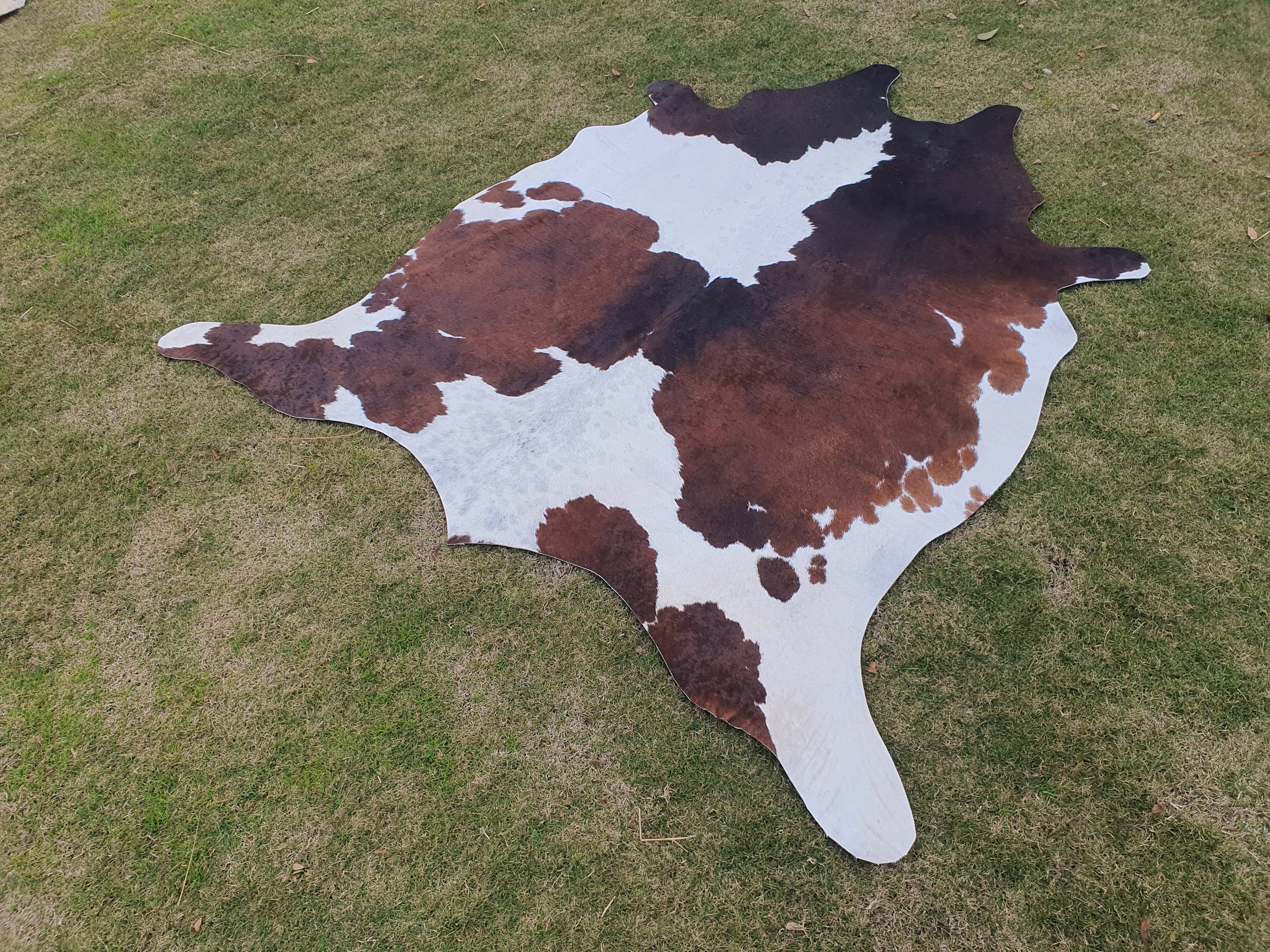 Genuine Brown and White Panda Print Cowhide Rug-exotic Cow Skin Rug for ...