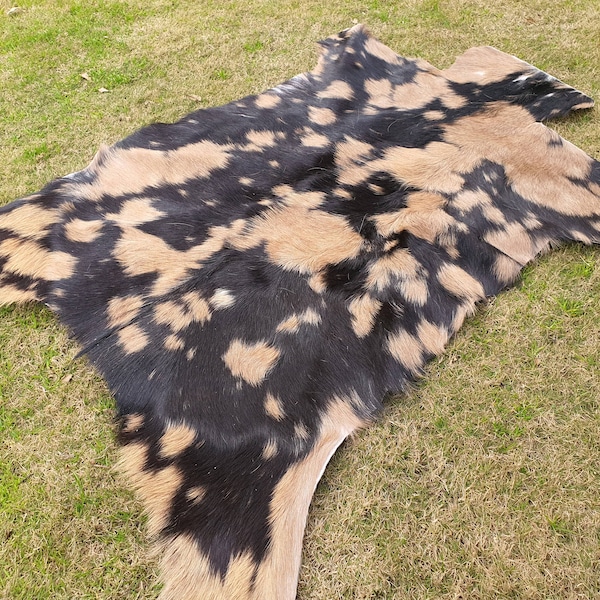 Leather Hides Goat Skin - Etsy