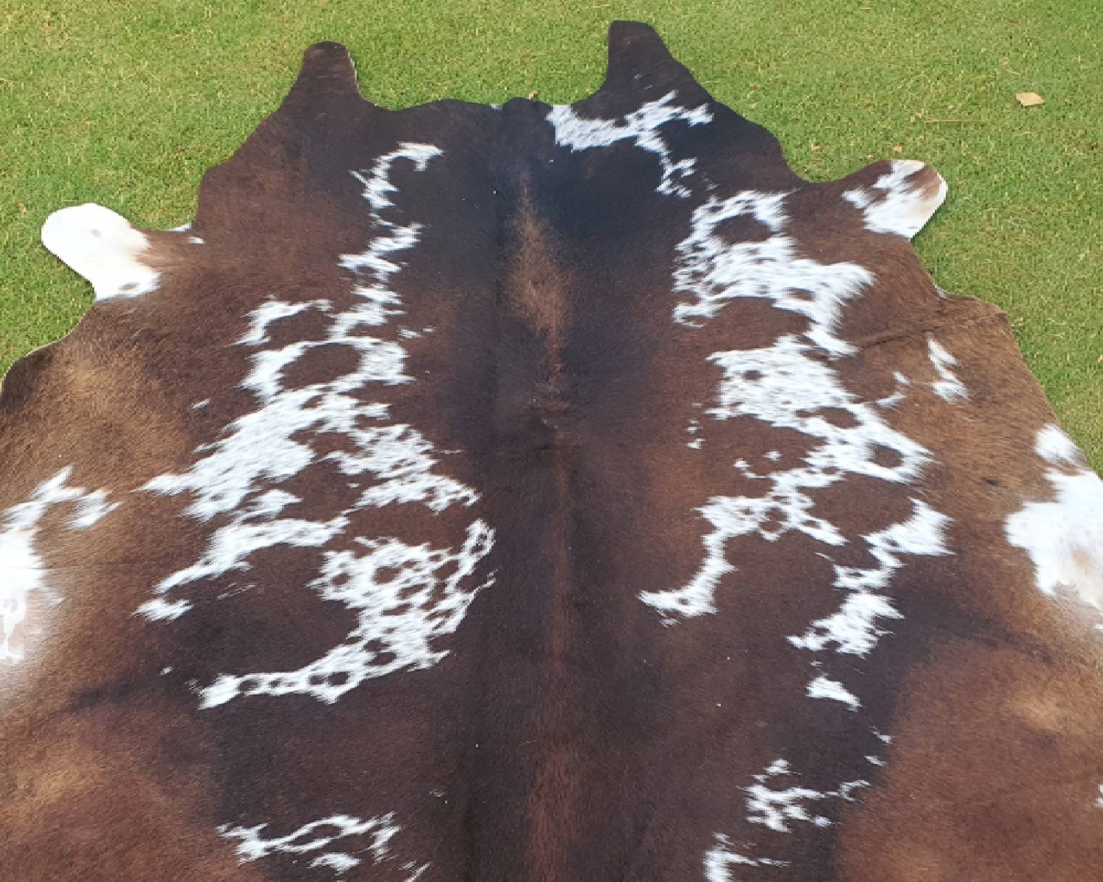 Cowhide Tricolor Real Cow Skin Rug - Brown White Natural Cowhide Area ...