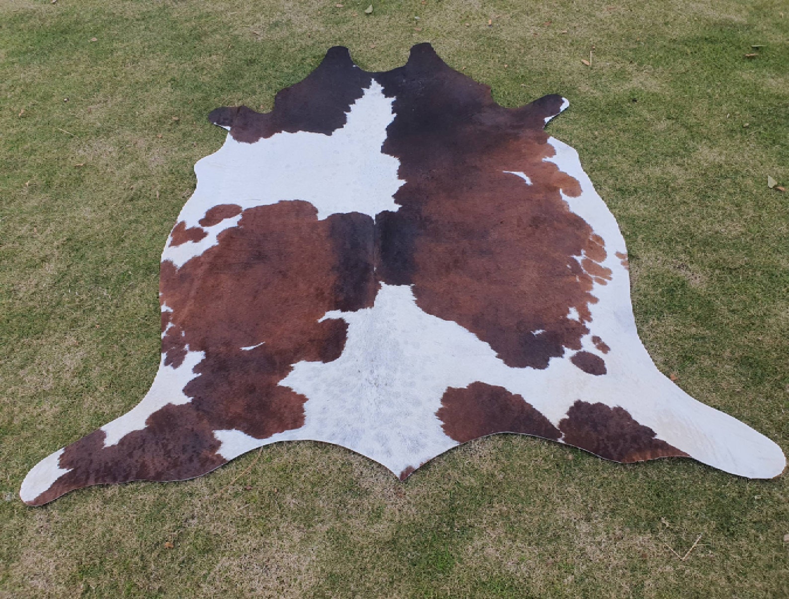 Genuine Brown and White Panda Print Cowhide Rug-exotic Cow Skin Rug for ...