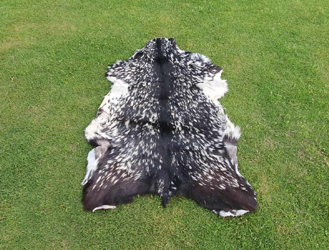 Genuine Goatskin Hide, Black & White Goat Skin Rug, Room Decor Animal ...