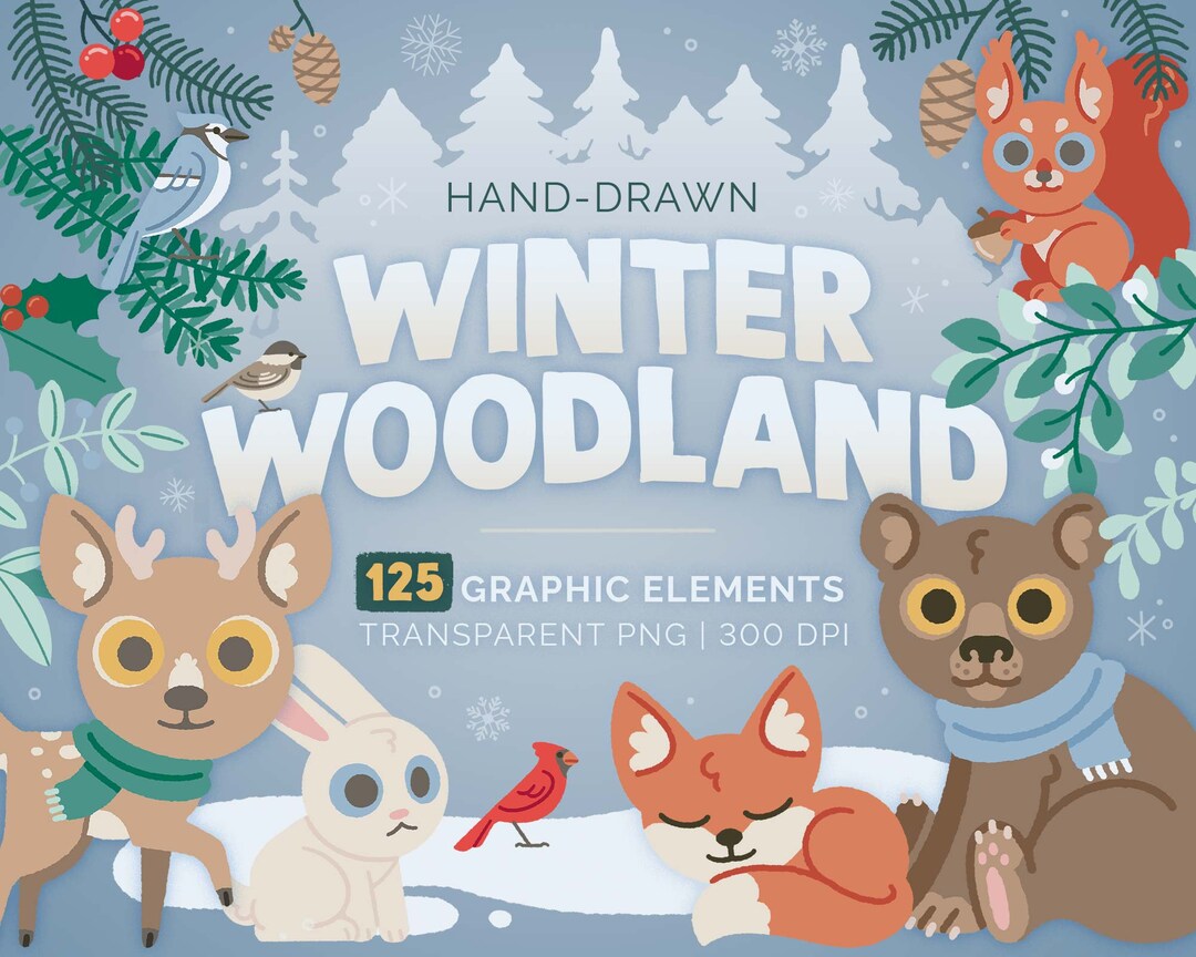 Set of 125 Winter Woodland Cute Hand Drawn Clipart Illustrated Graphics ...