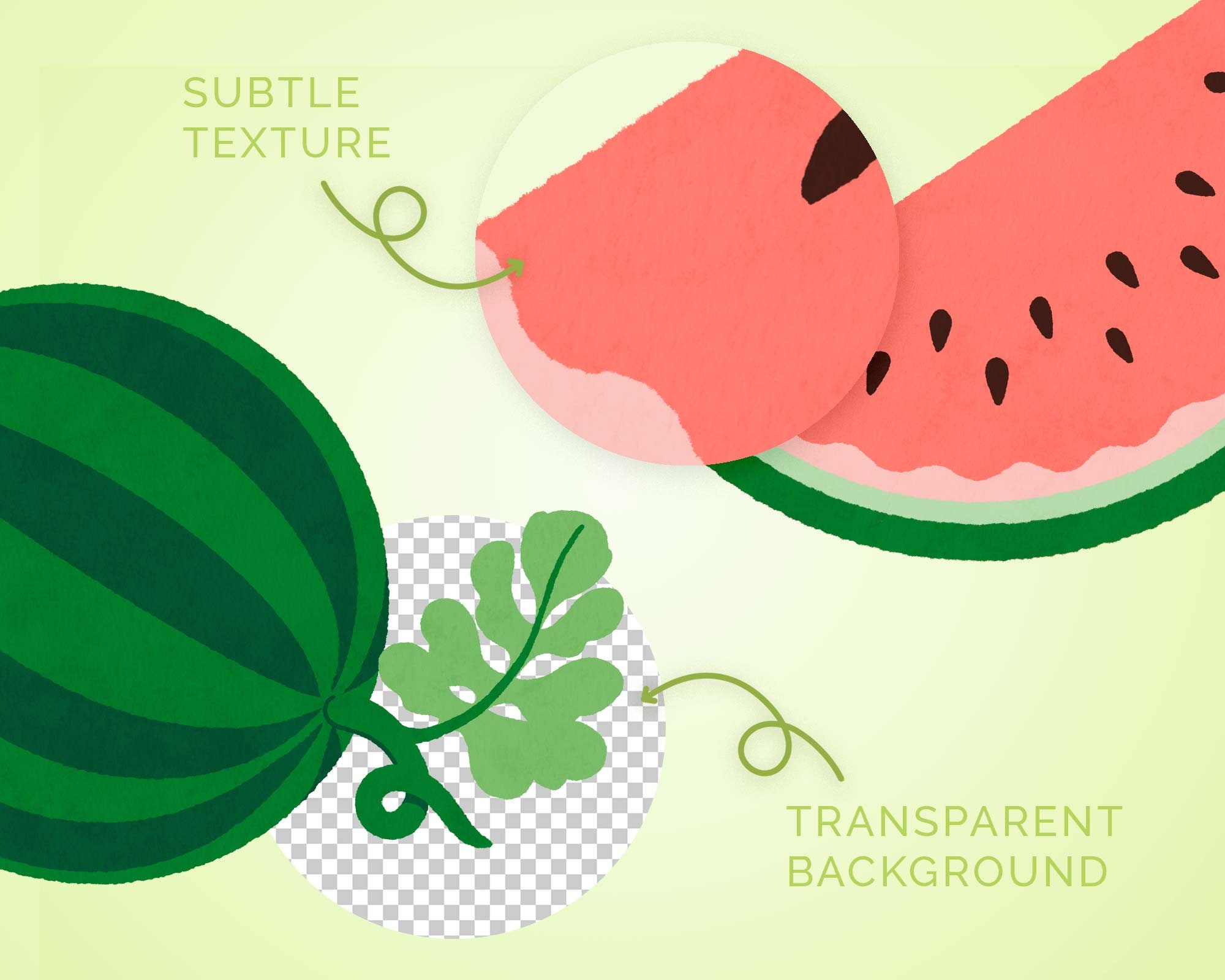 Summer Watermelon Clipart Graphics Bundle Kit | Set of 53 Illustrations ...