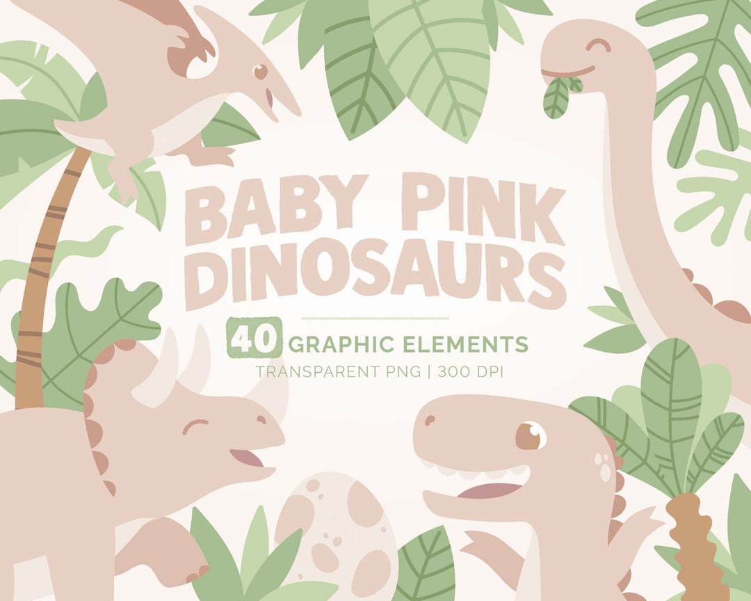 Baby Pink Dinosaurs Clipart Graphics Bundle Kit | Set of 40 ...