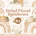 Watercolor Boho Floral Rainbows Clipart Graphics Bundle Set of 65 ...