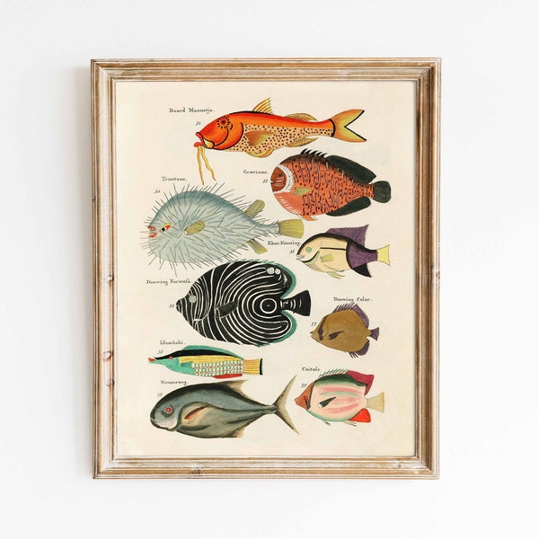 Antique Fish Print - Etsy