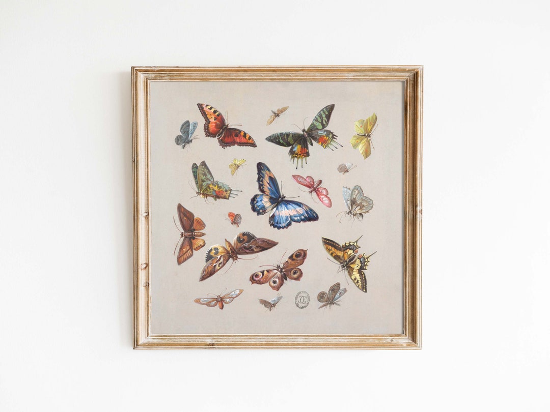 Butterfly Menagerie | Vintage Watercolor Illustration | Boho Insect ...
