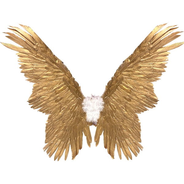 Gold Feather Wings - Etsy