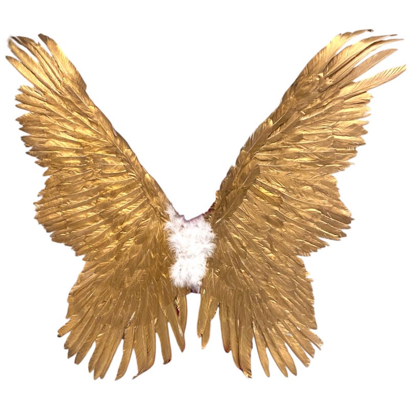 Saltburn Angel Wings - Etsy