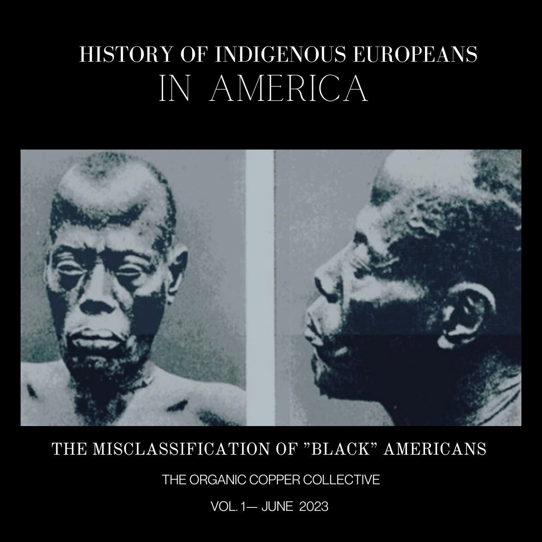 Indigenous Europeans in America - Etsy